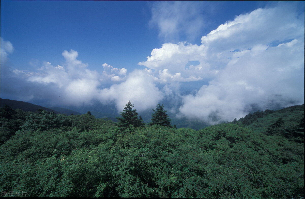 The mysterious Shennongjia - iNEWS