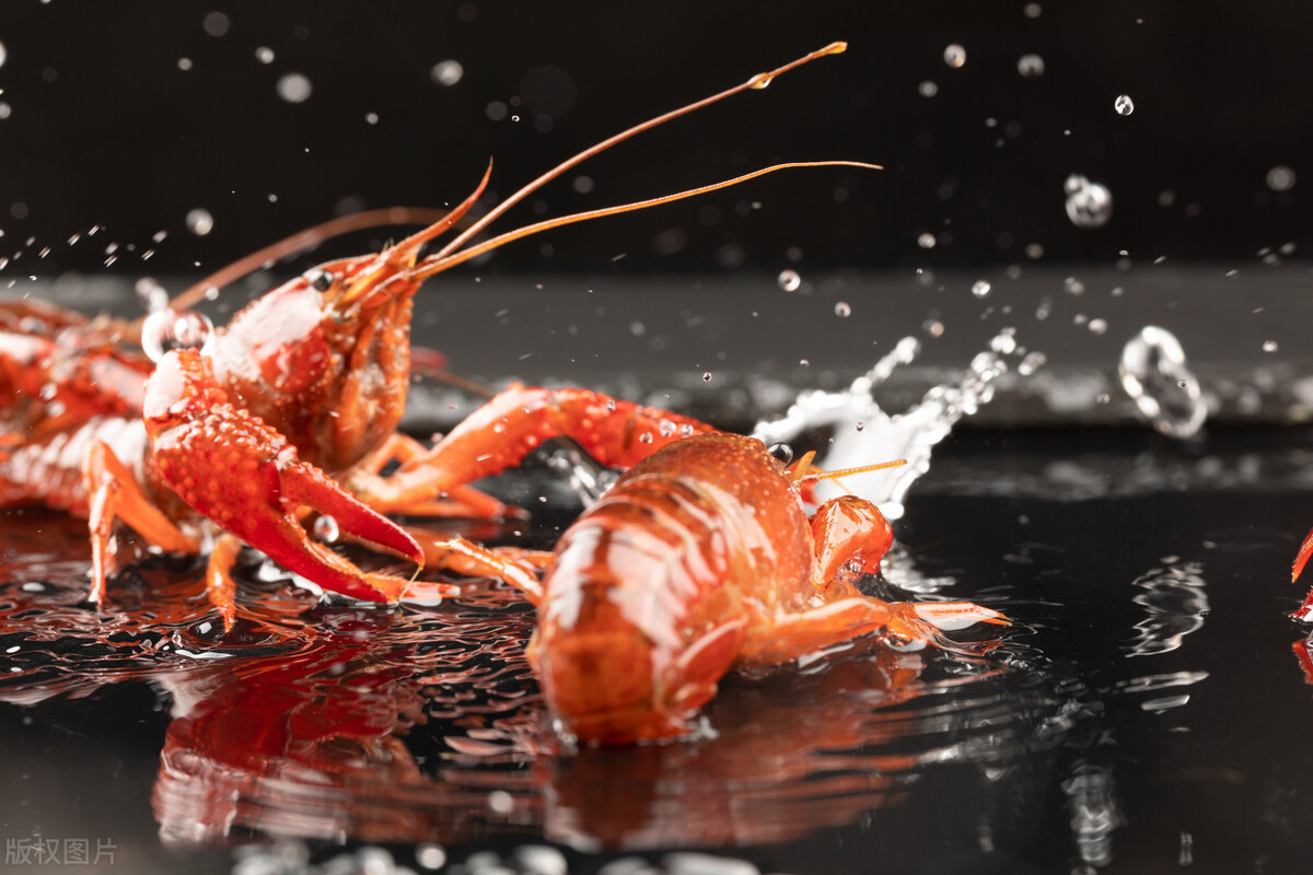 Why are the "eyeless shrimp" living in the crater of 450°C afraid of ...