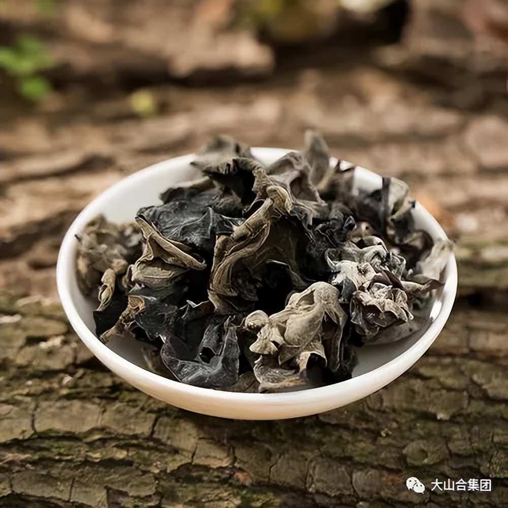 Eat fungus often, you will know its benefits - iNEWS