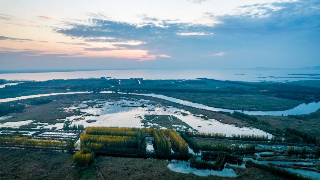 Along the most beautiful Huanhu Road in Dongping, walk into the autumn ...