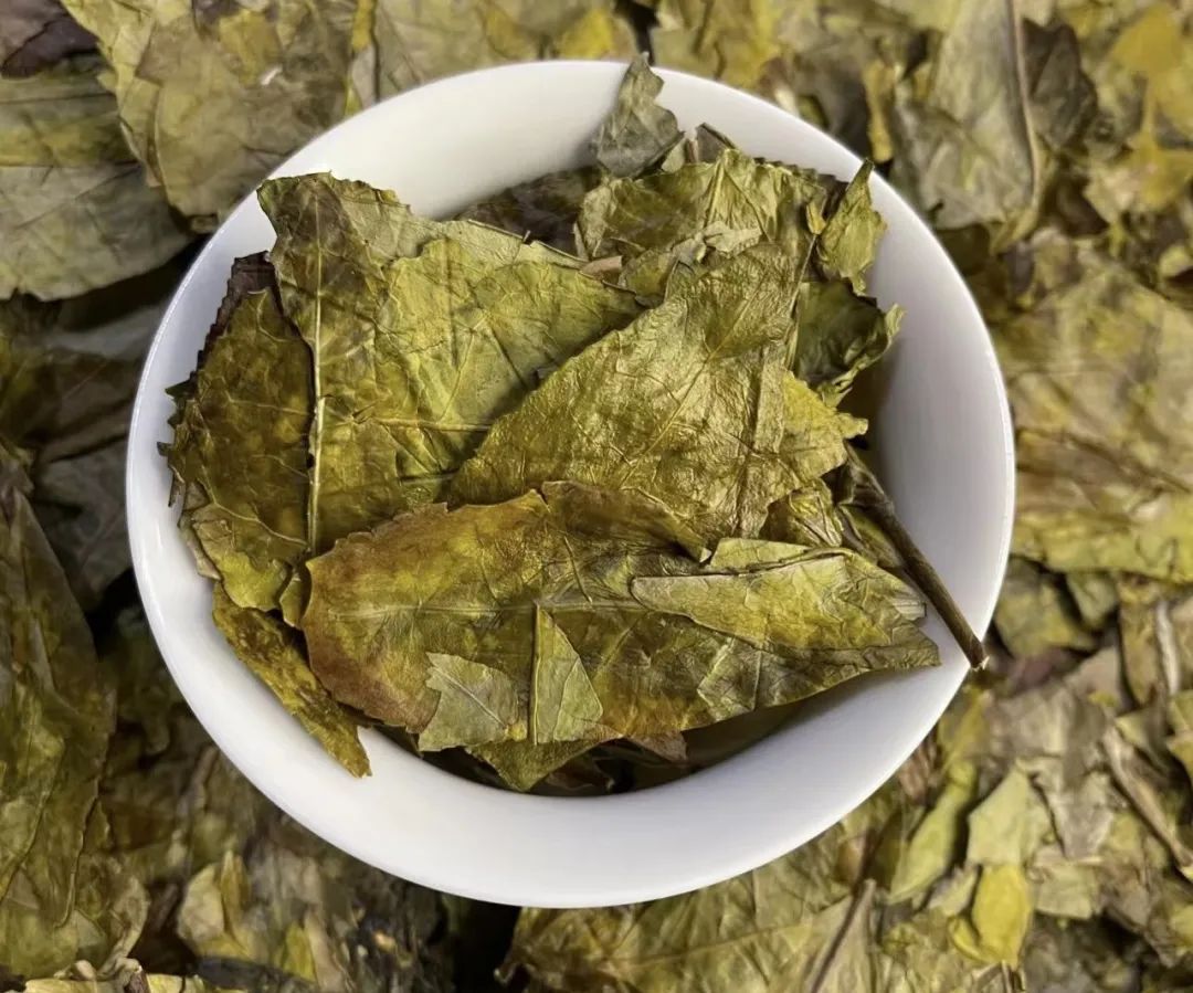 Why is old white tea more suitable for boiling and drinking? - iNEWS