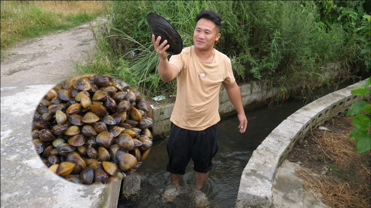 Why are mussels, which Chinese people don't want to eat, basically ...