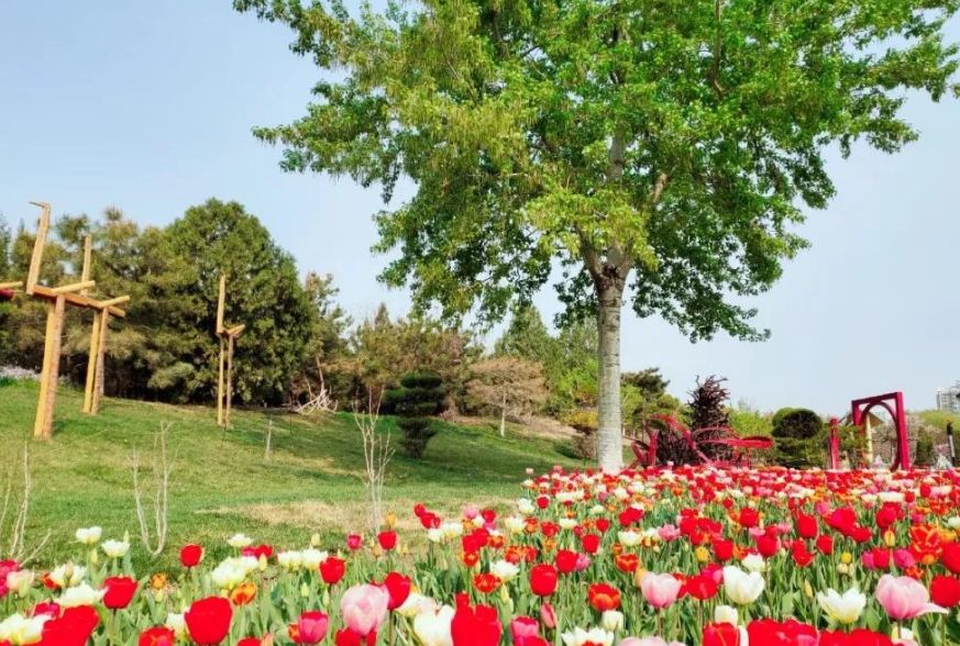 Beijing World Flower Grand View Garden has a variety of flower ...