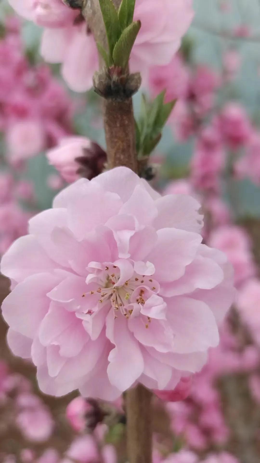 Love yourself first, then you will have the energy to take care of your ...