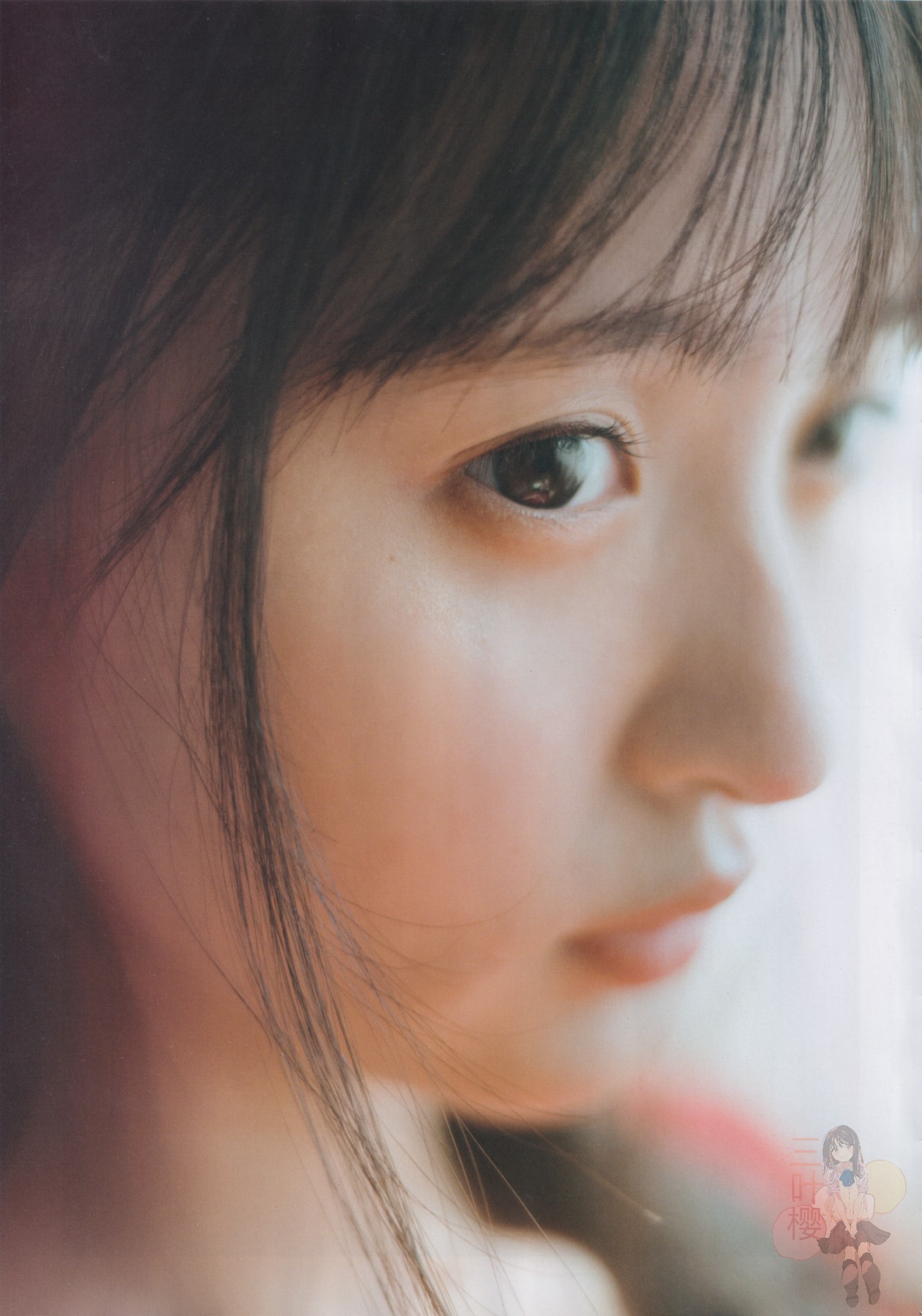 Photo Album of Japanese Beautiful Girl "Endo Sakura" - iNEWS