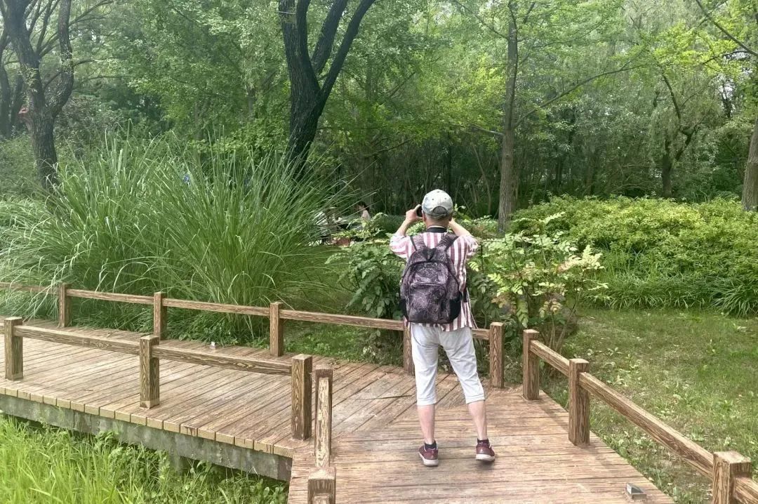 Minhang Sports Park - iNEWS