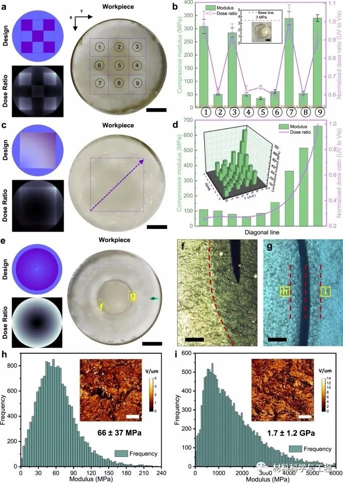 "Nature Commun": Stiffness control for two-color topological volumetric ...