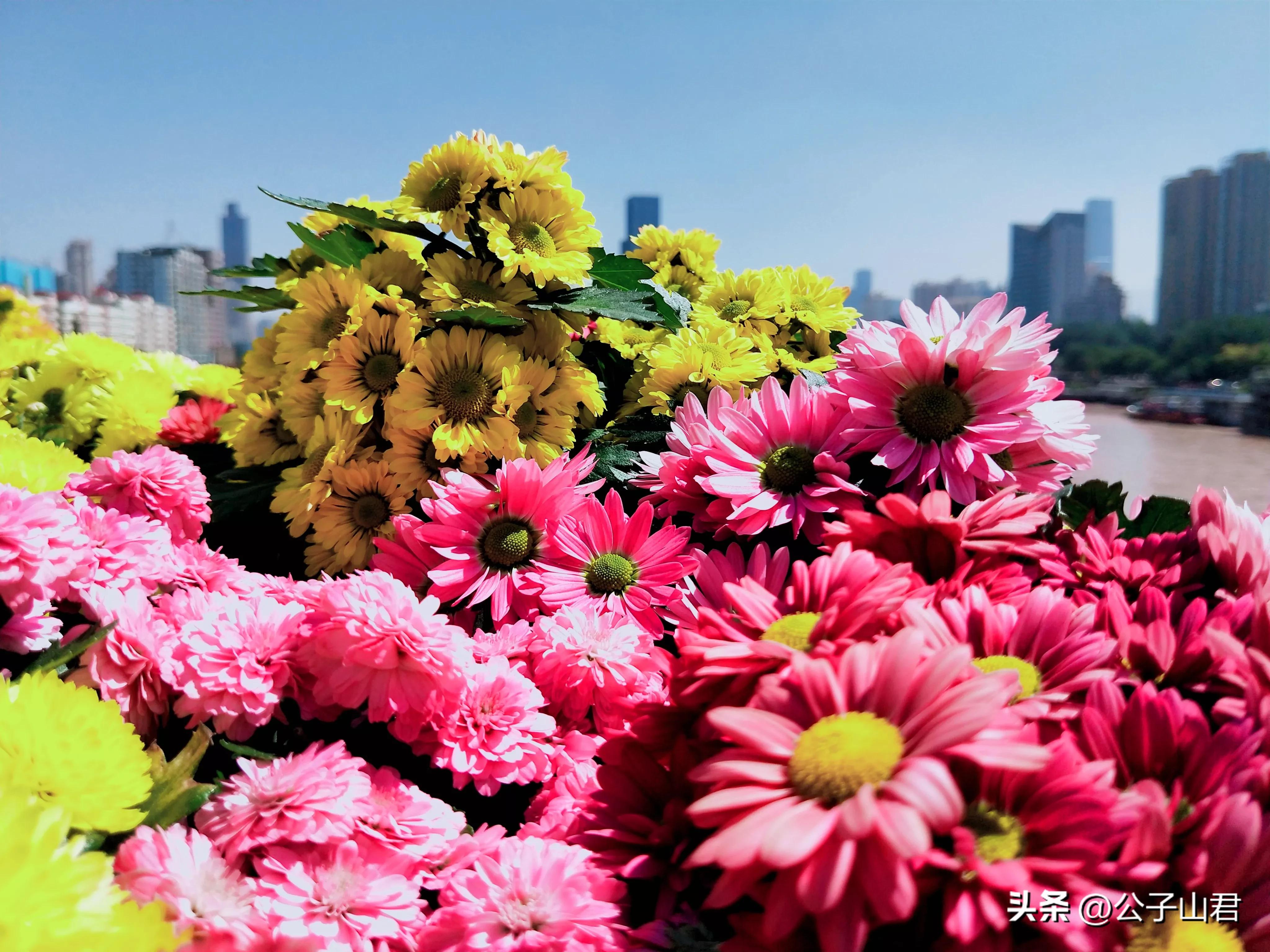 Original "Ordinary Flower Bar" - iNEWS