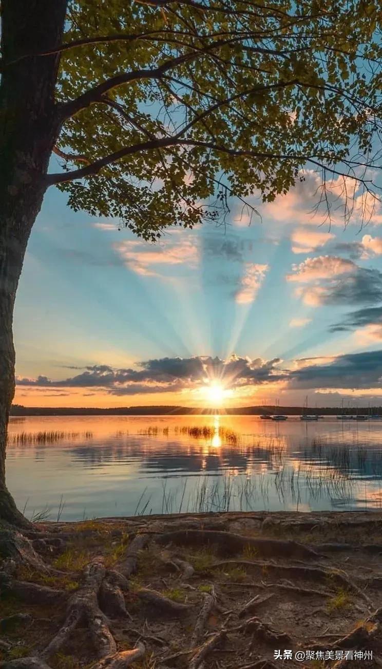 The photographer turns ordinary trees into beautiful landscapes - iNEWS