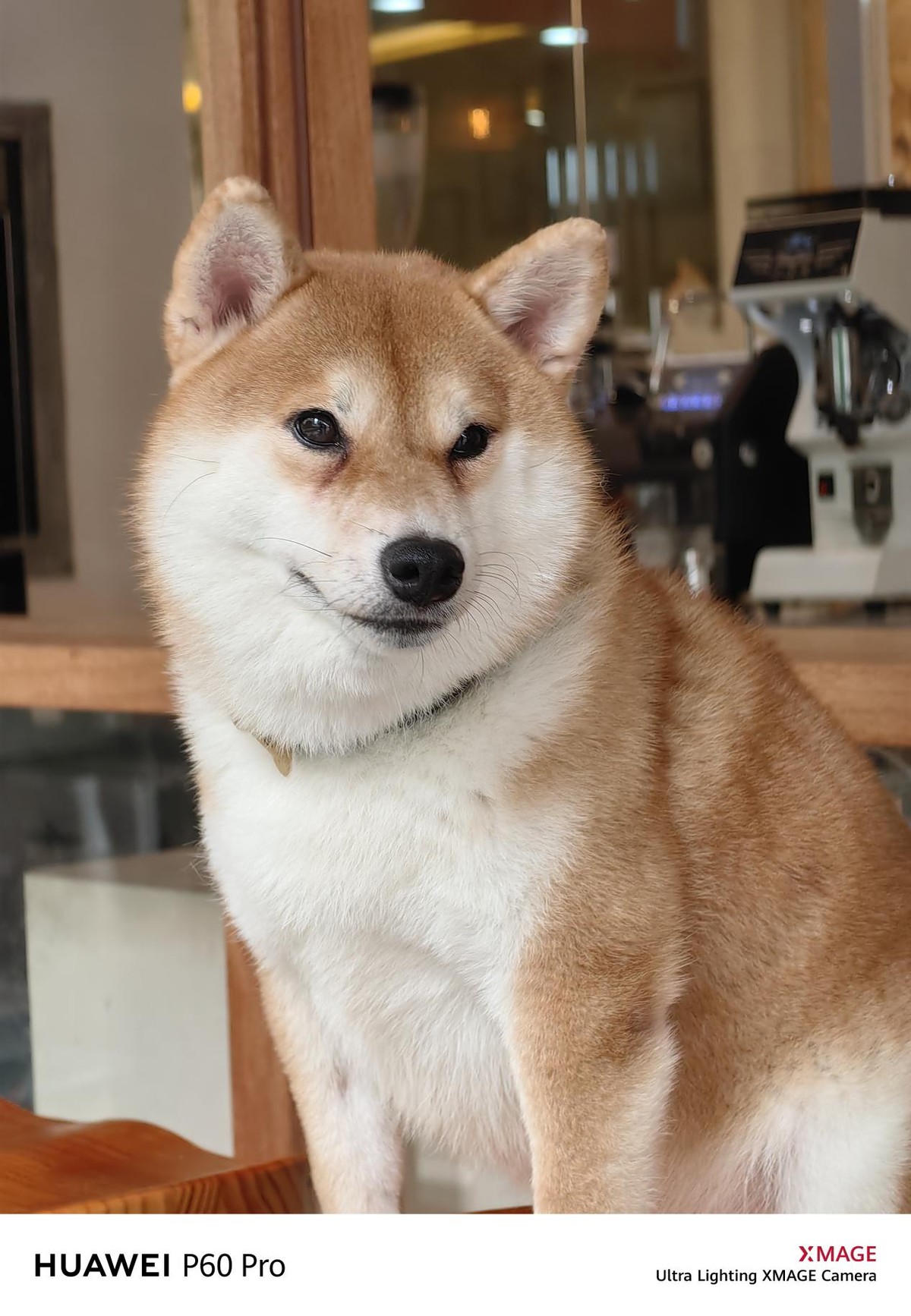 King of the moving image! Huawei P60 Pro telephoto lens breaks the ...