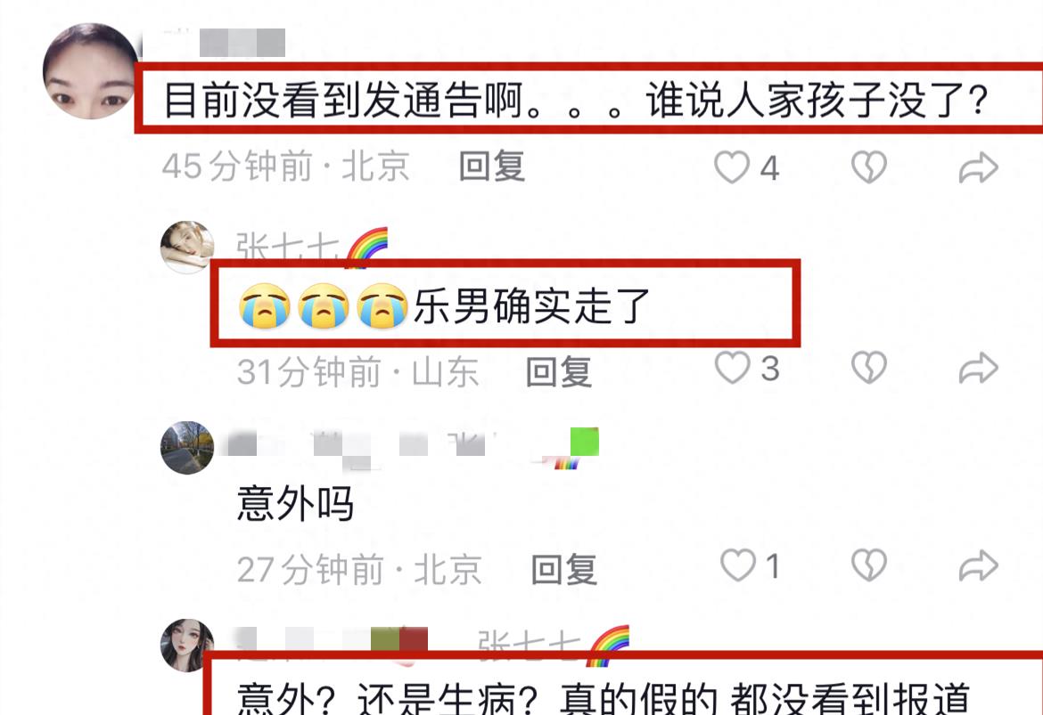 Shocking! It was revealed that Zhang Xinying personally confirmed that ...