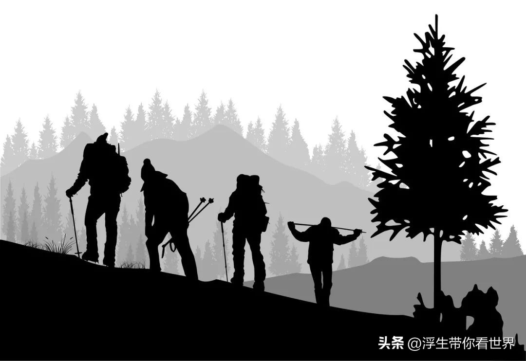 Tired of climbing?Learn this trick, let you easily climb to the top - iNEWS