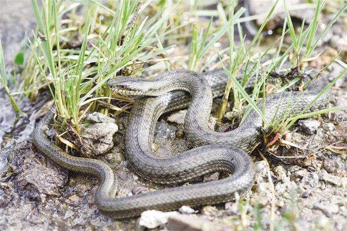 Incredible!Even if there are hot springs in the cold plateau, there are ...