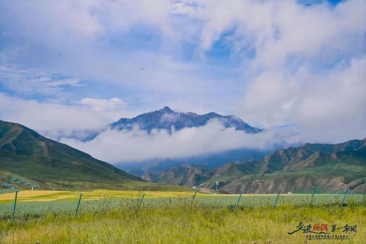 Exploring one of the "first workshops" of Fenjiu: the "music" shows the ...