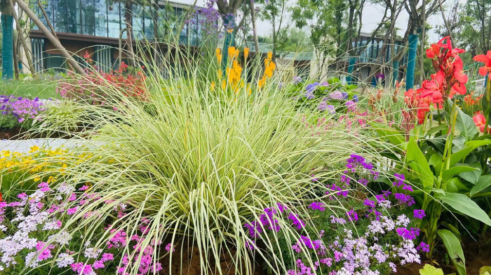 Plant configuration design in urban gardening - iNEWS