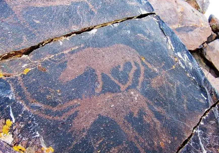 Image depiction and cultural implication of ancient Chinese animals in ...