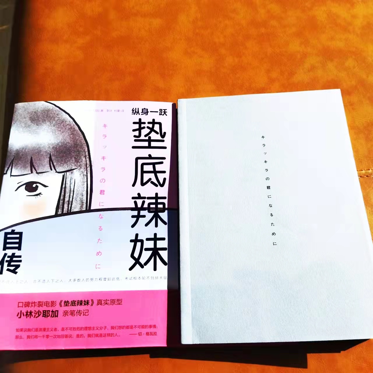 "The Autobiography of a Spice Girl Who Jumped to the Bottom": A life ...