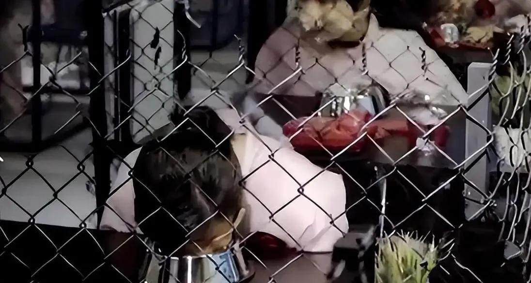 Trapped in Hell: Uncovering the Suffering and Torment of Women in the ...