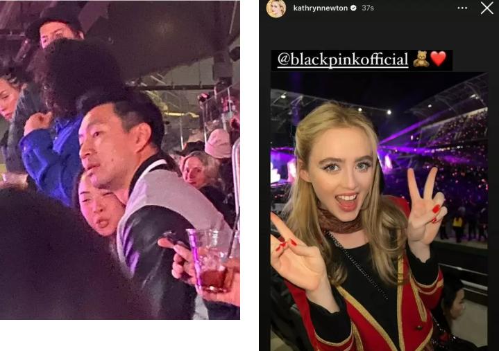 In addition to Jennie, Guan Xiaotong, Wu Lei, and Park Shin Hye joined ...