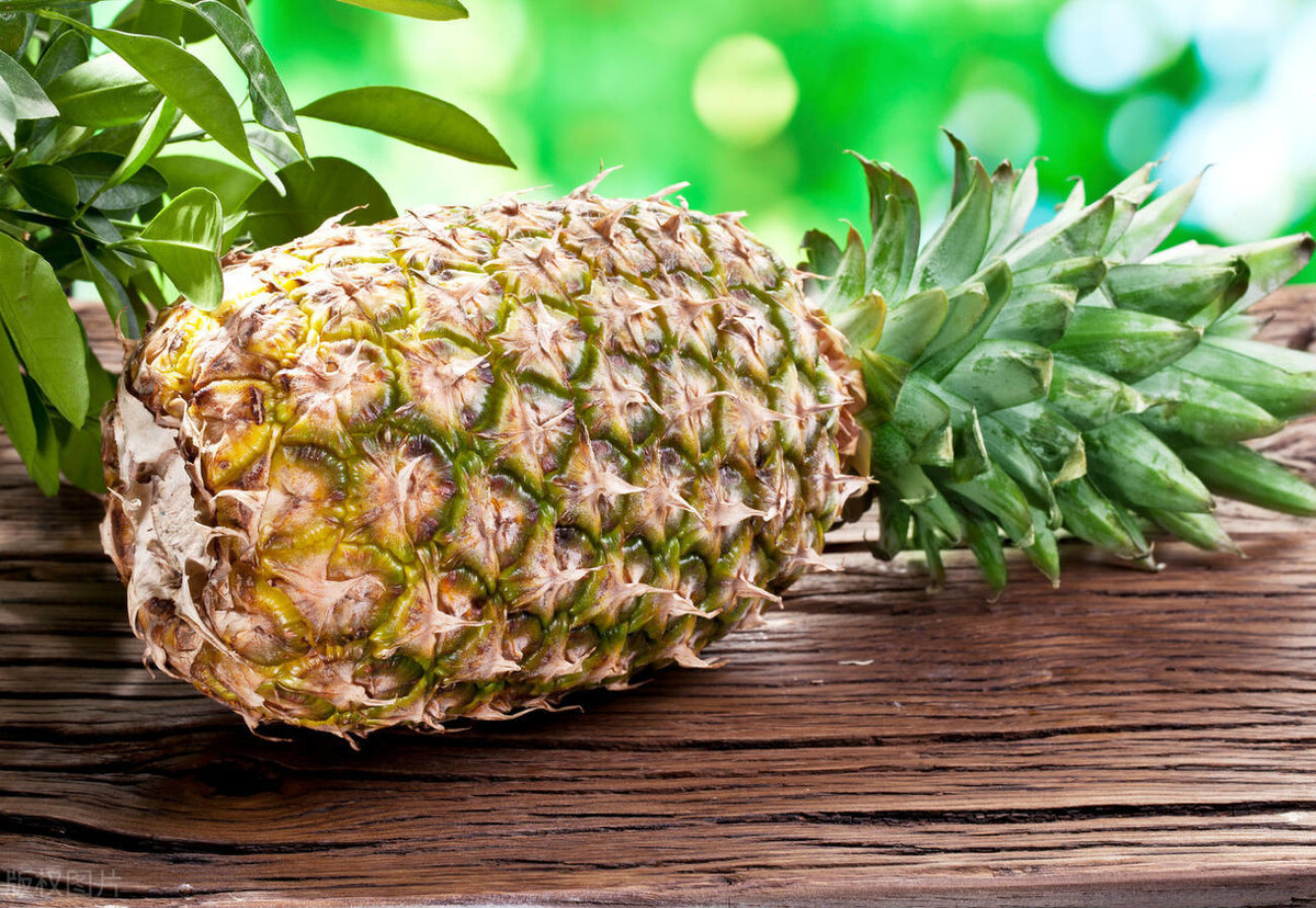 Difference Between Pineapple and Pineapple - iNEWS