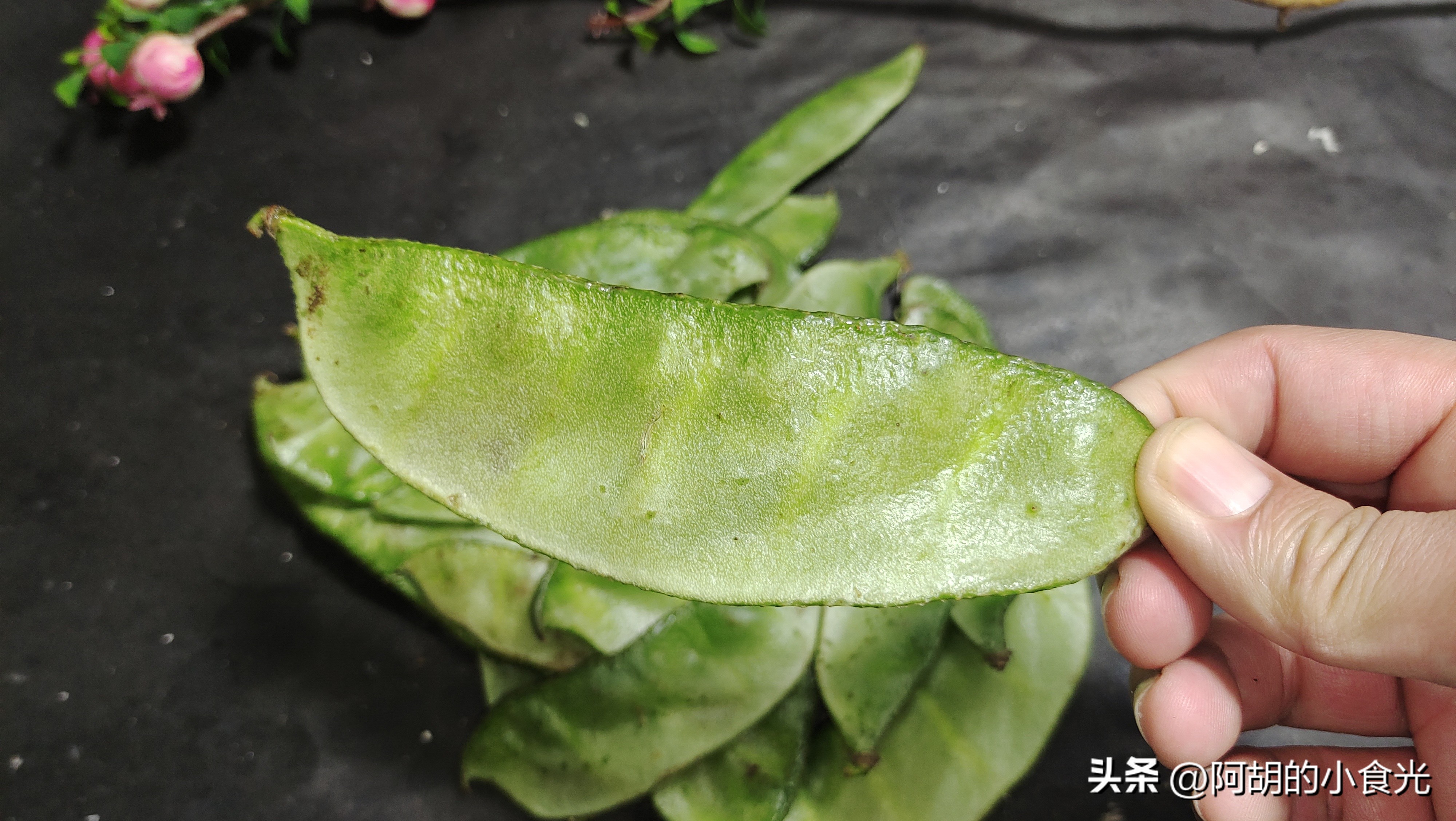 Tea beans: a real "alkaline" dish, the calcium is 3 times that of beans ...