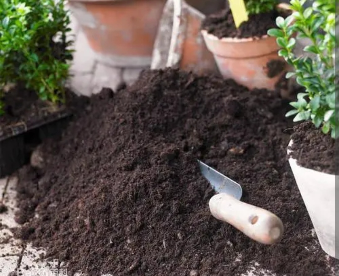 When growing flowers at home, don't use the 4 kinds of flower soil ...