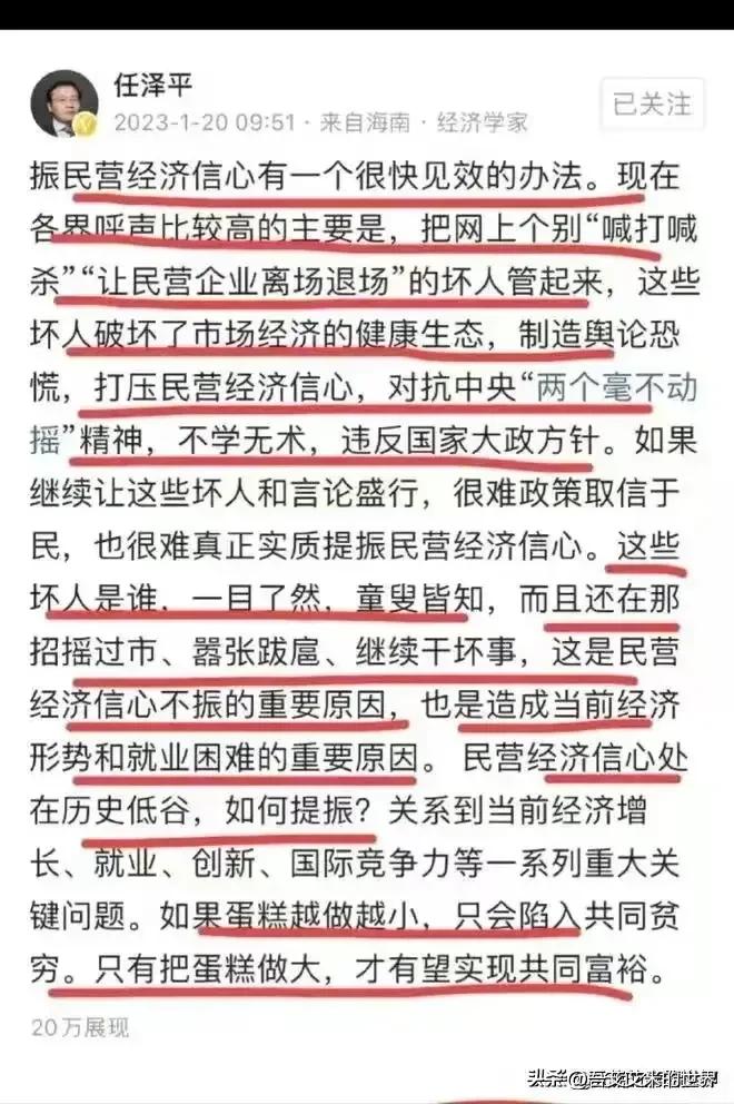 Questions and Answers for Little People at the Bottom 2: Does "Economist" Ren Zeping want the ...