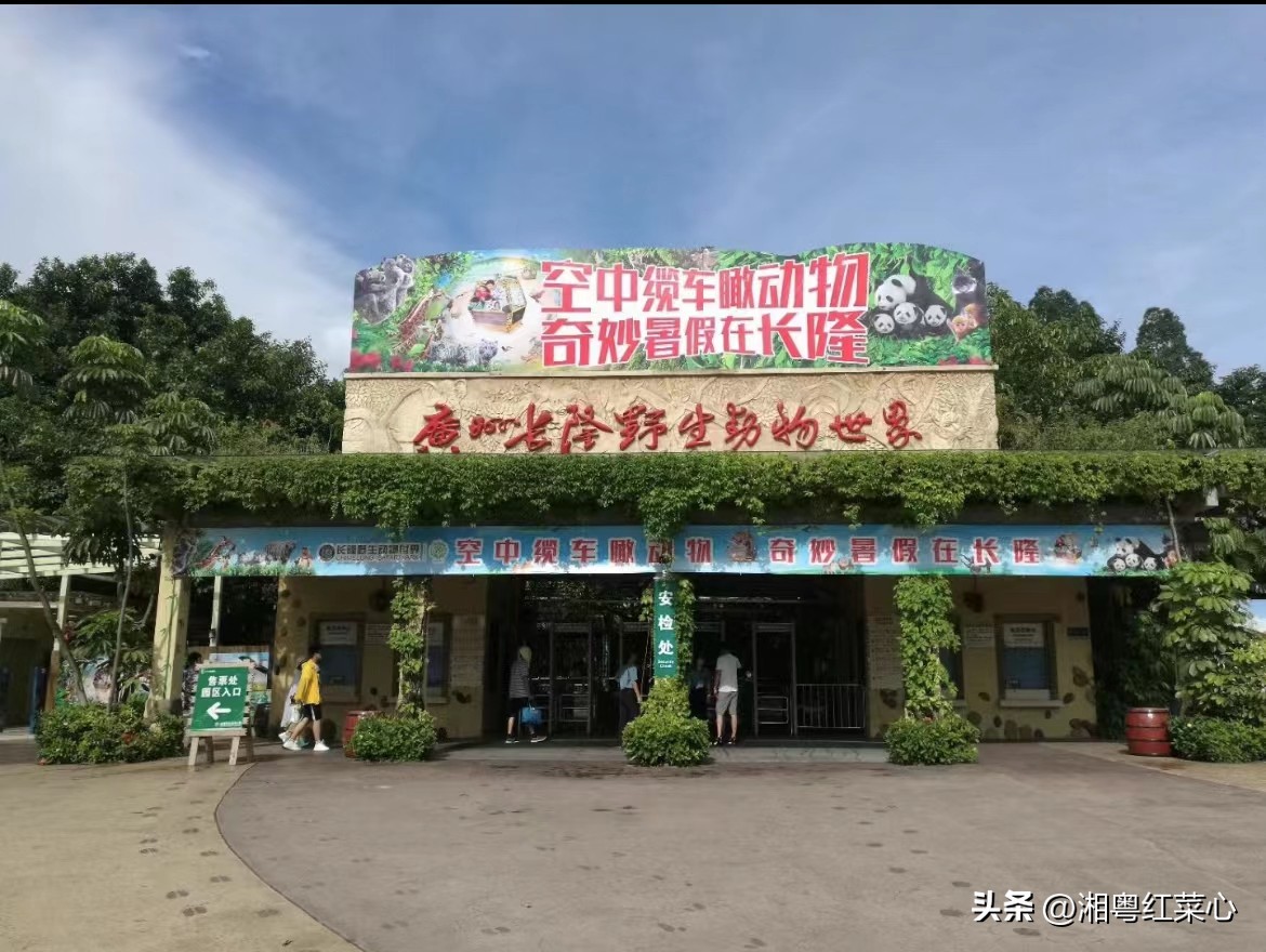 Guangzhou Chimelong Wildlife World Experience the wildness and ...