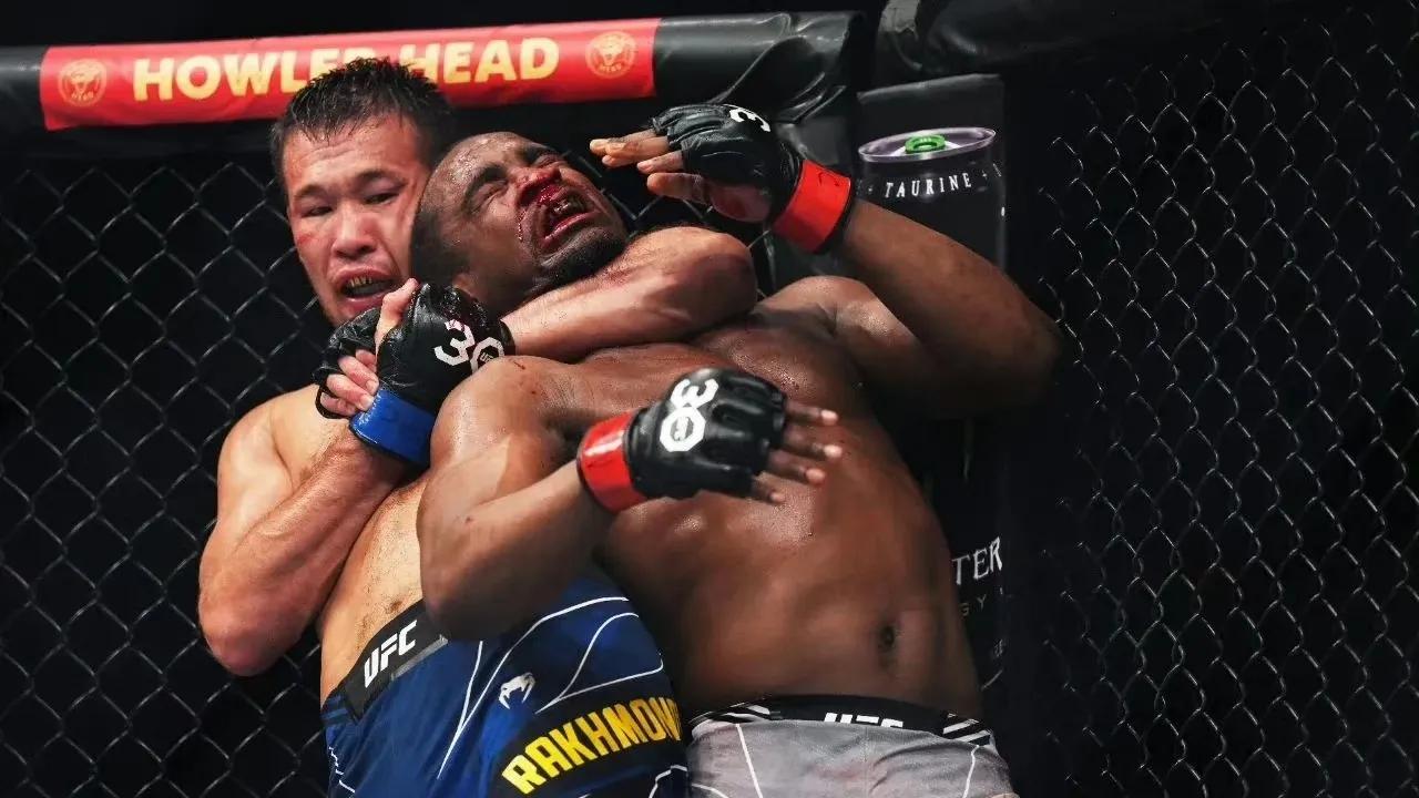 UFC Chimayev VS Shafkat! Can the Great War be achieved? - iNEWS