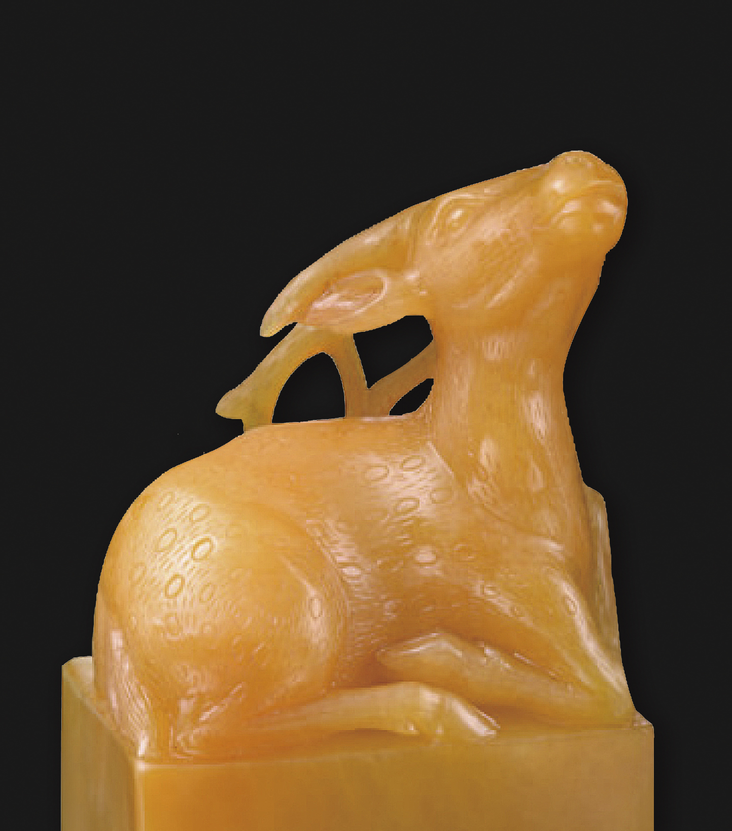 Wang Yifan Talks about Vientiane in Stone - iNEWS