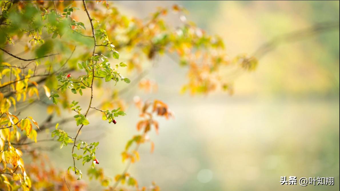 The gentleman is cautious, and the years end - iNEWS