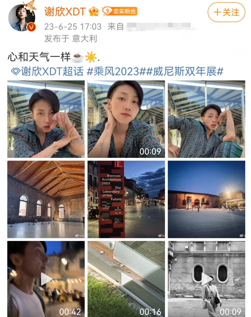 Xu Huaiyu's "Chengfeng" Wu Gong was eliminated? Chen Yihan advances to the finals, Tang Bohu and ...