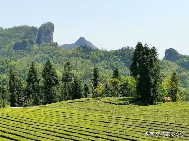 High Balcony Traveling in the Clouds and Miao Miao Hometown Sounds (Six ...