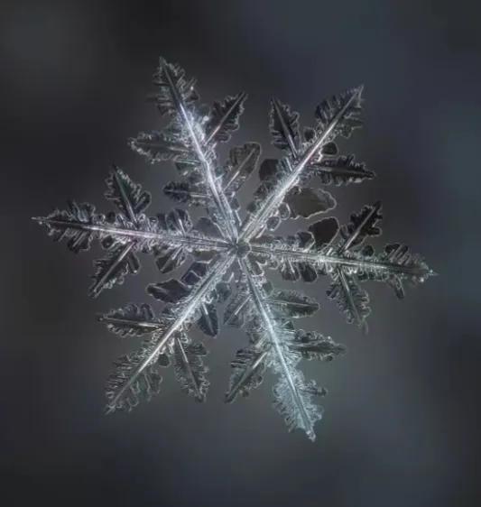 It's eye-opening, it turns out that snowflakes are so beautiful, but ...