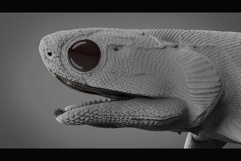 Oldest toothed fish discovered in China - iNEWS