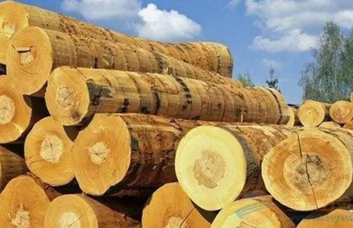 The Reference Significance of the Contradictory Fusion of Belize ...