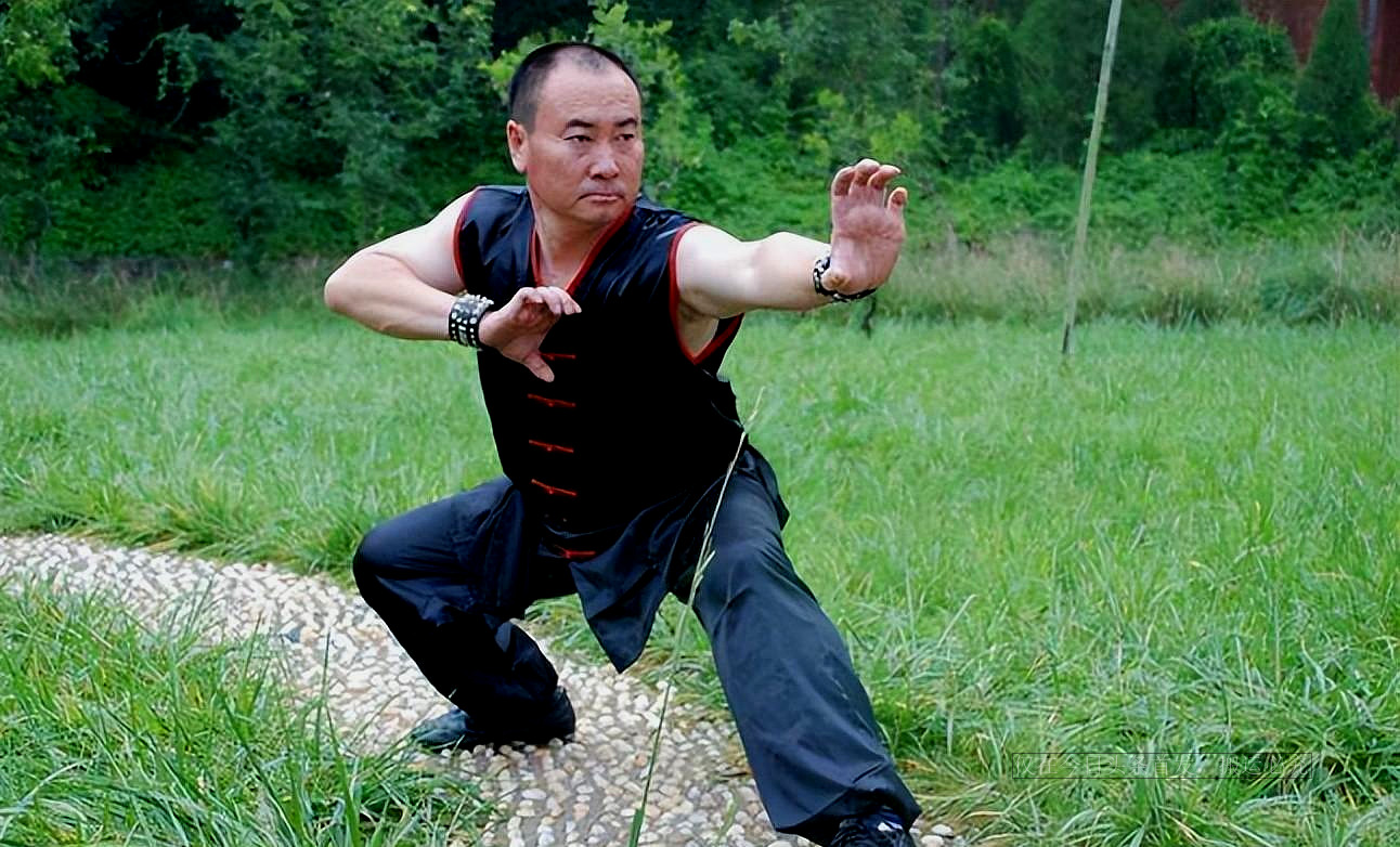 Why can Shi Xiaolong sit on an equal footing with Sammo Hung? Looking ...