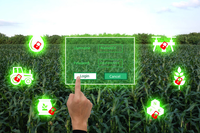 Database - difference between primary key and unique key - iMedia