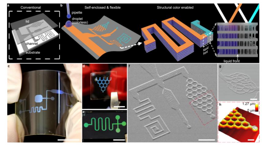 Nature will issue a Nature sub-journal later: breakthrough in ...
