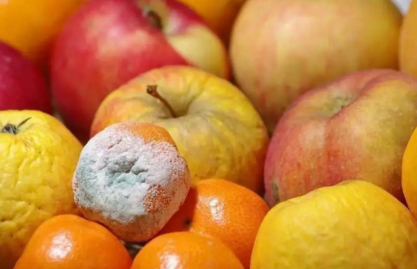 How does food spoilage occur? How to prevent it? these are easily ...