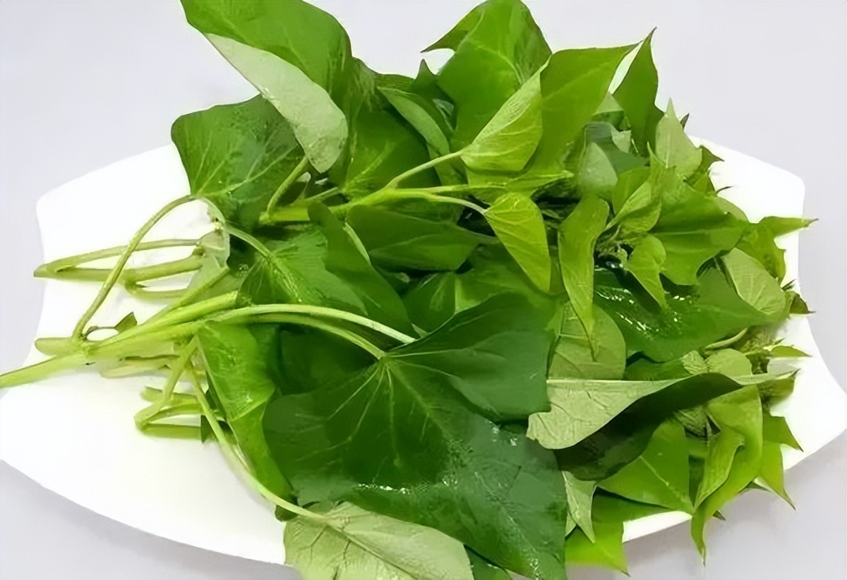 In summer, I would rather eat less meat and eat these 4 "champion ...