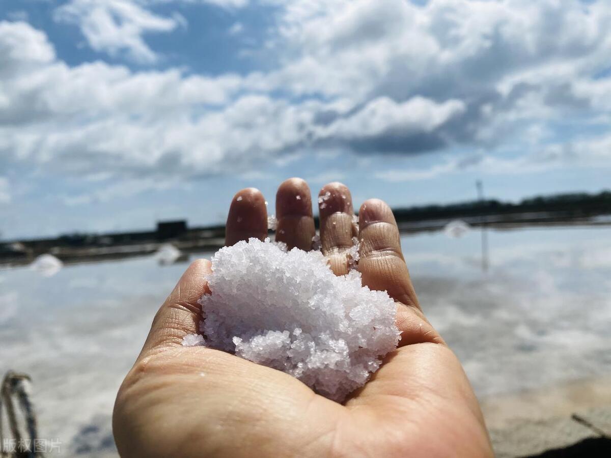 Uncover the process of making salt: from the sea to the dining table ...