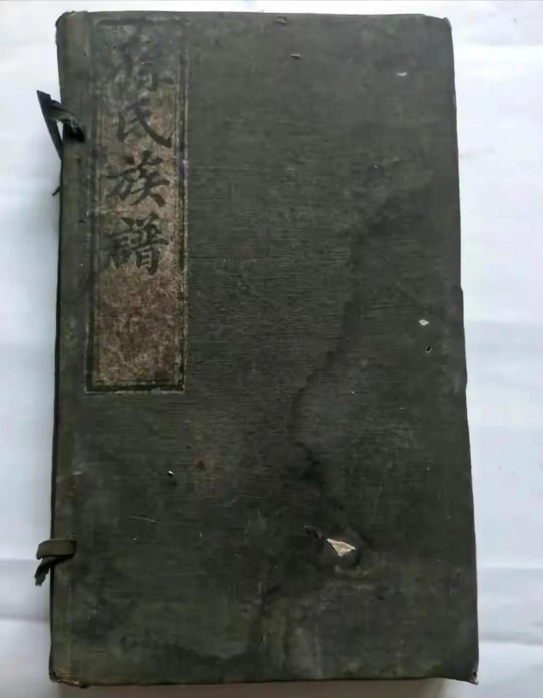 Tracing the Family Roots: Exploring the "Sun Family Tree" - iMedia