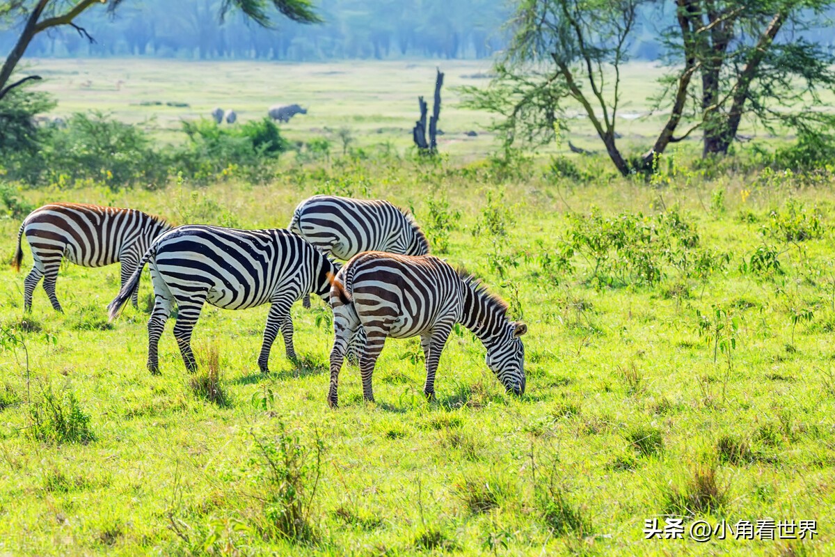 Seeing the world from a small horn: the star on the African savannah ...