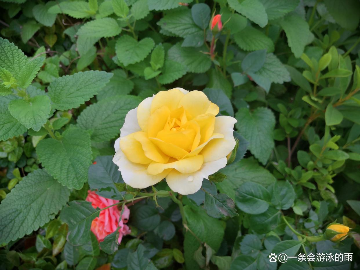 Is Fa Hai responsible for the separation of Xu Xian and Bai Suzhen in ...