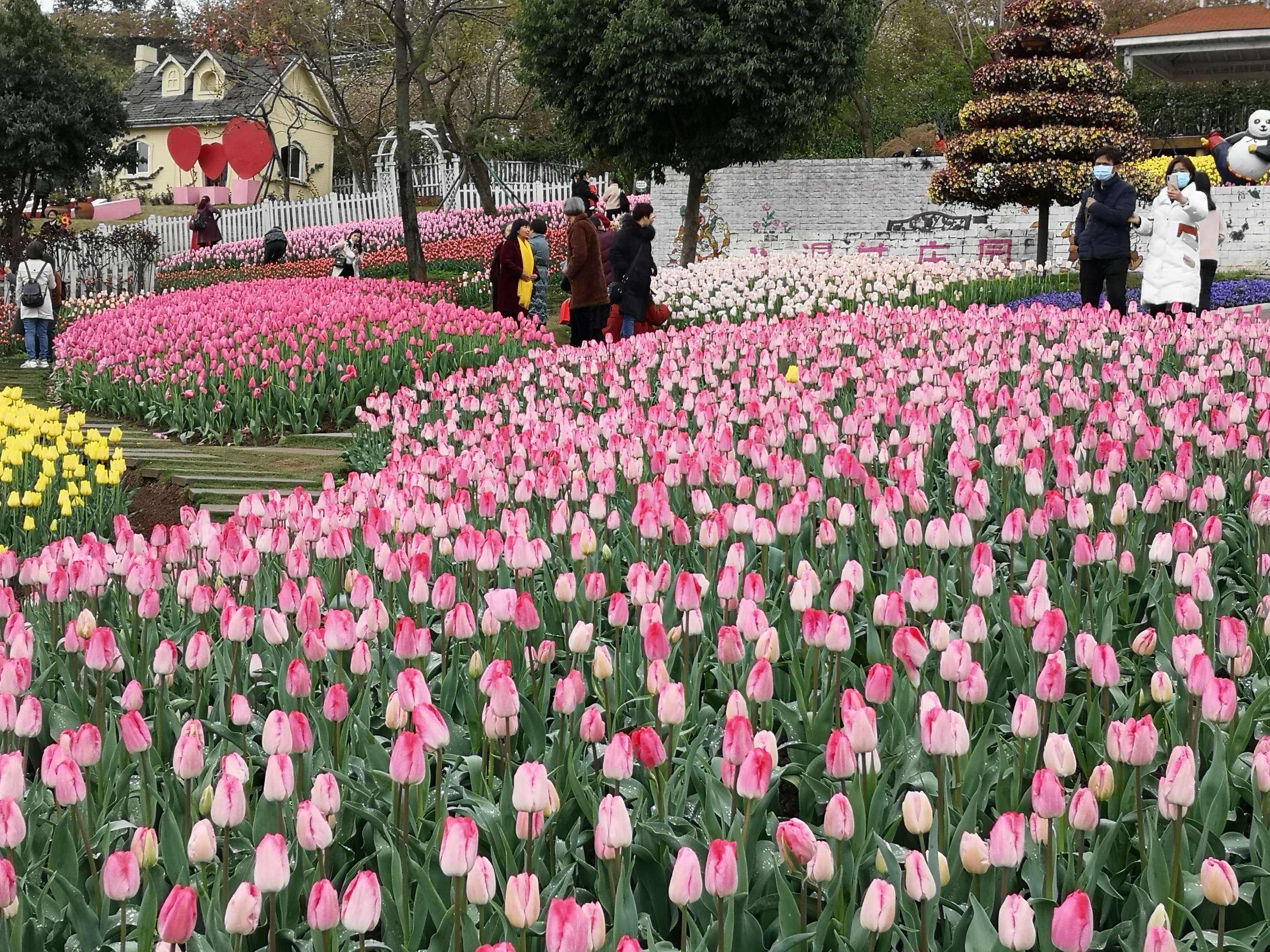 What is Lichun, and why is it said that Lichun violates Tai Sui? - iNEWS