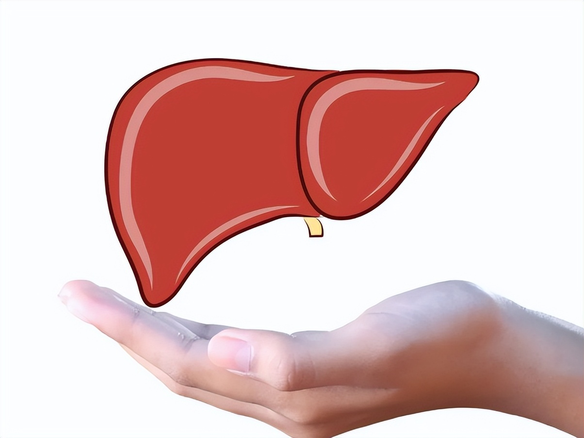 Do you understand liver function?Three indicators are important!If ...