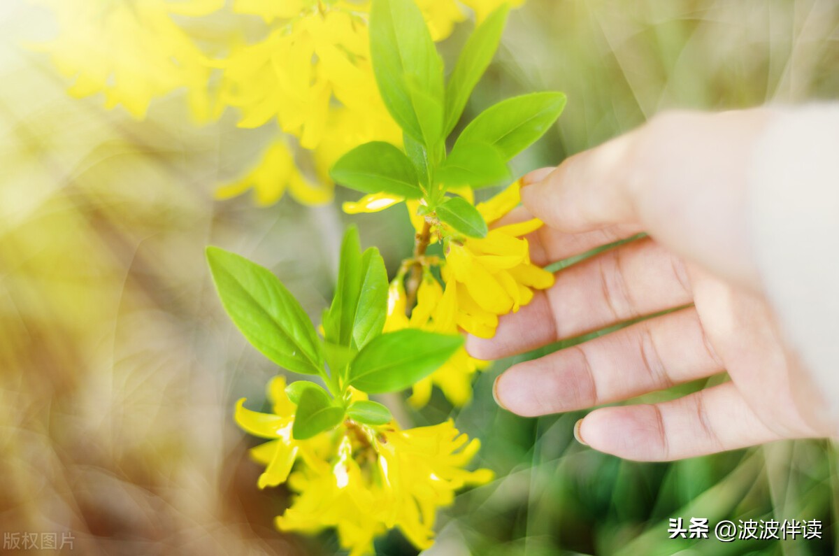 Original Seven Unique Poems: A Dream of Spring - iNEWS