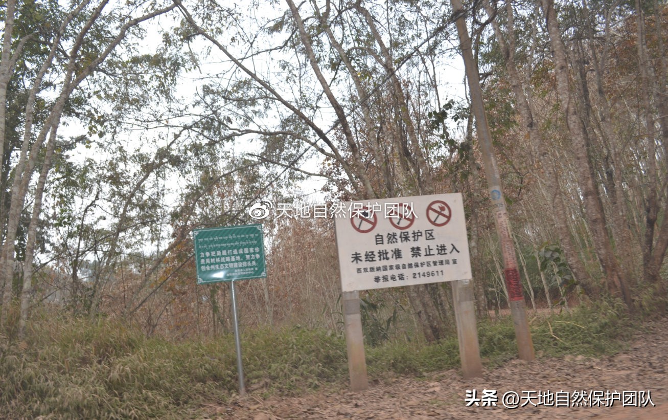 How Rare Wild Animals Disappear in Nature Reserves - iMedia
