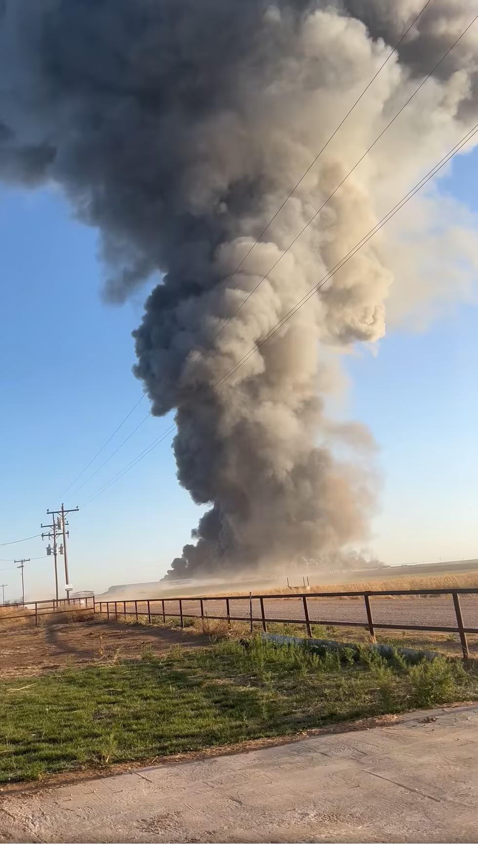 About 18,000 cows died in the explosion at the US dairy plant! No ...